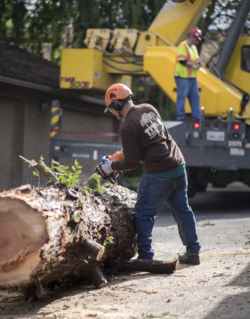 Commercial and Residential Lot Clearing – Titan Tree Service